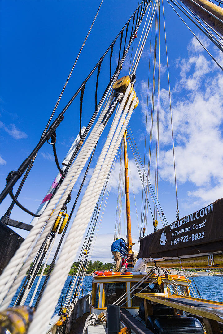 3 Hour Sail - 3 Hour Sail - Sailing Tours in Victoria BC